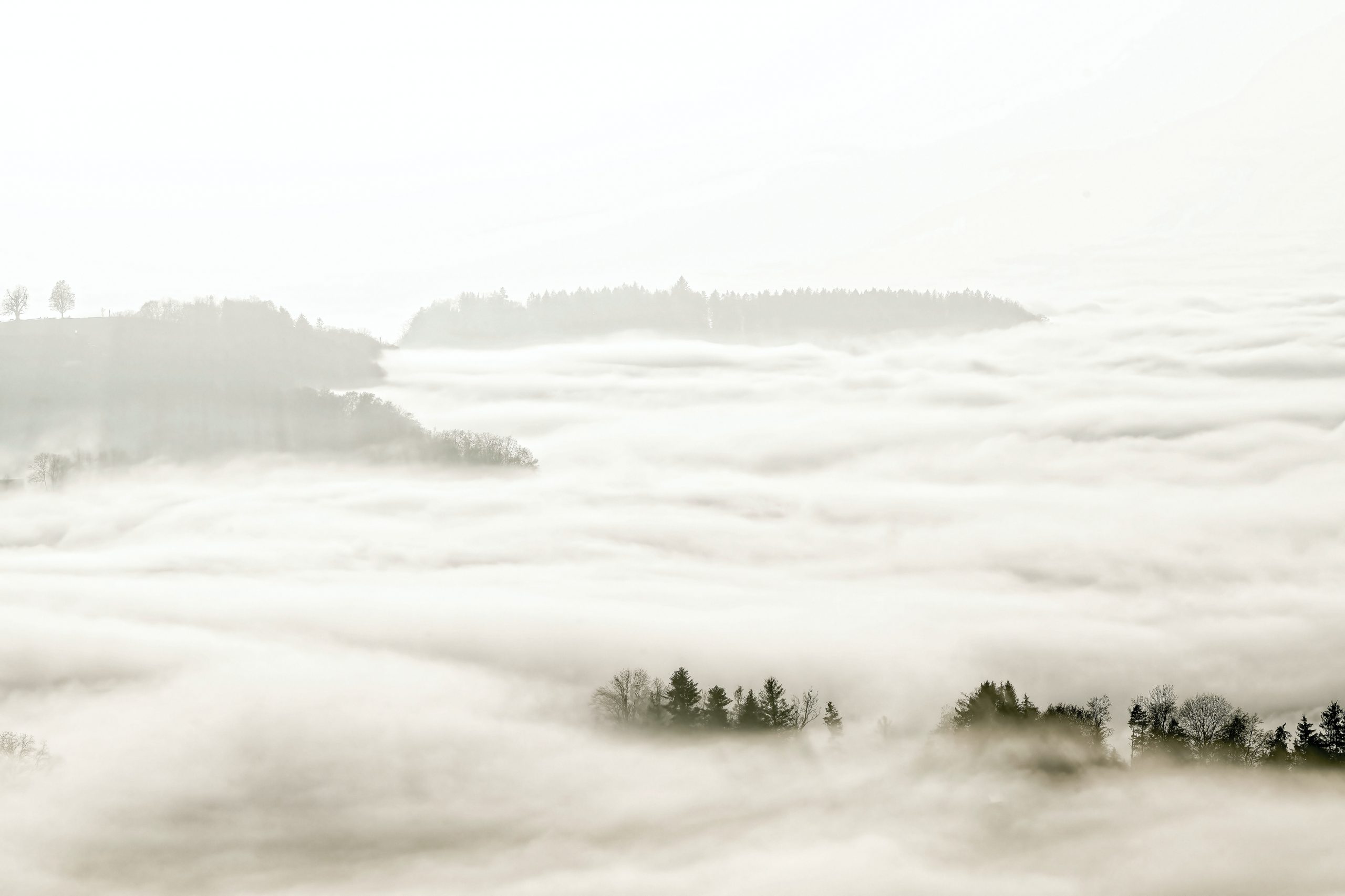 Ascension of the Lord, Year B - The Summit Online